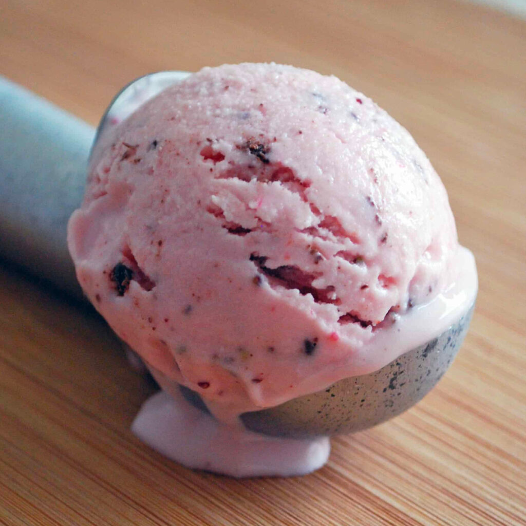 Strawberry Chocolate Chip Frozen Yogurt - The Live-In Kitchen