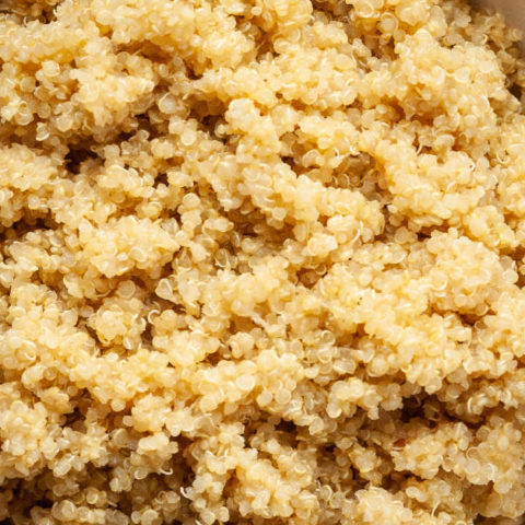 How to Cook Quinoa - The Live-In Kitchen