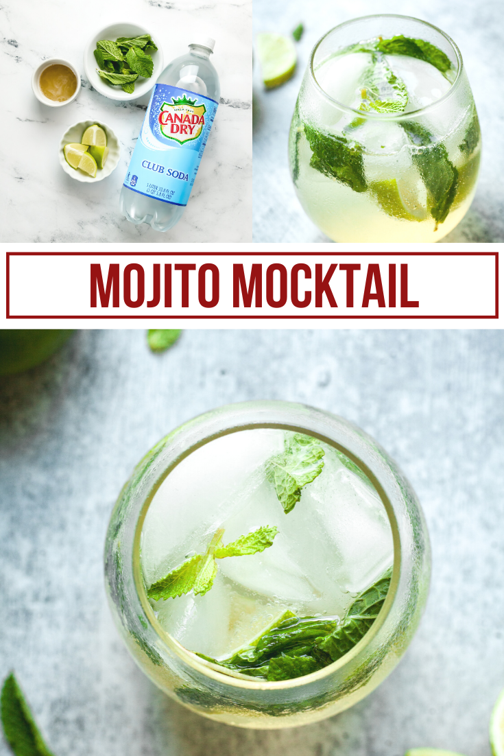 Virgin Mojito Mocktail Recipe {VIDEO} - The Live-In Kitchen
