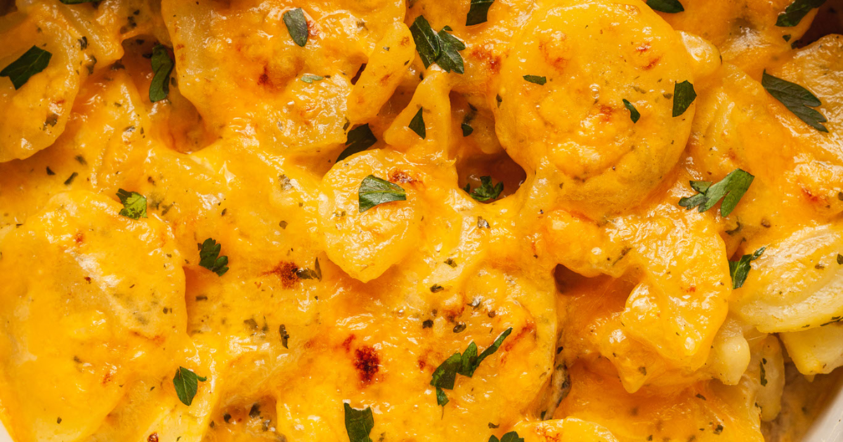 Instant Pot Scalloped Potatoes - The Live-In Kitchen